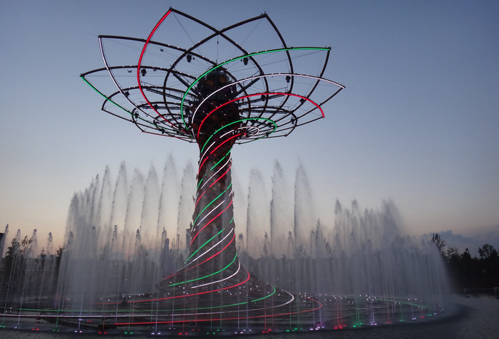 Phoenix Lebensberatung & Achtsamkeit - Alexandra Eder - Schwerpunkte